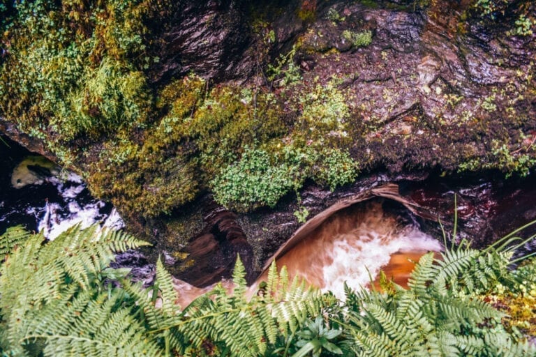 North Devon: Beautiful Walks and Waterfalls - You Me Under the Palm Tree