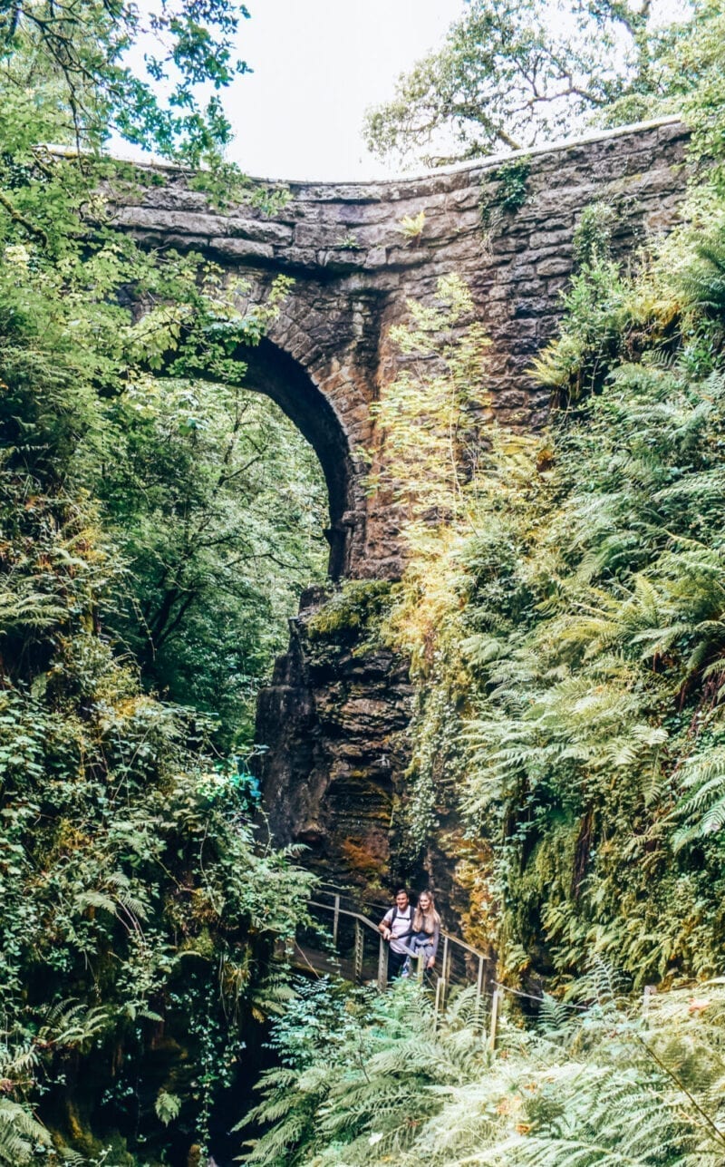 North Devon: Beautiful Walks and Waterfalls - You Me Under the Palm Tree