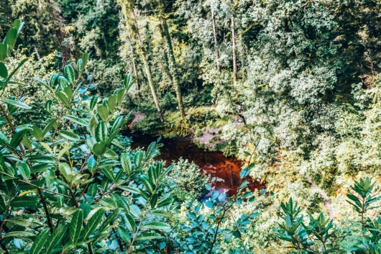 North Devon: Beautiful Walks and Waterfalls - You Me Under the Palm Tree