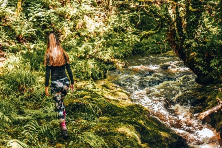 North Devon: Beautiful Walks and Waterfalls - You Me Under the Palm Tree