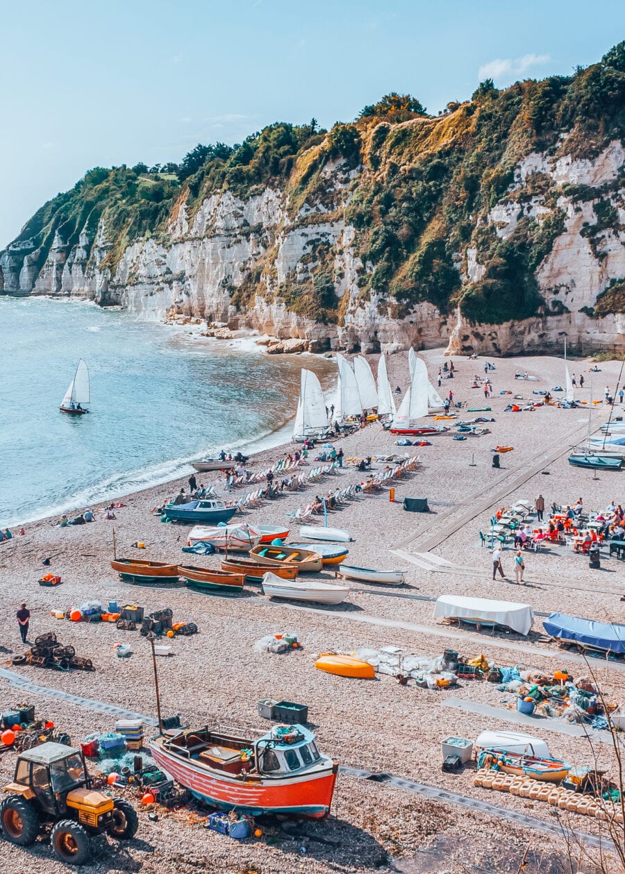 Beautiful Beaches in Devon - You Me Under the Palm Tree